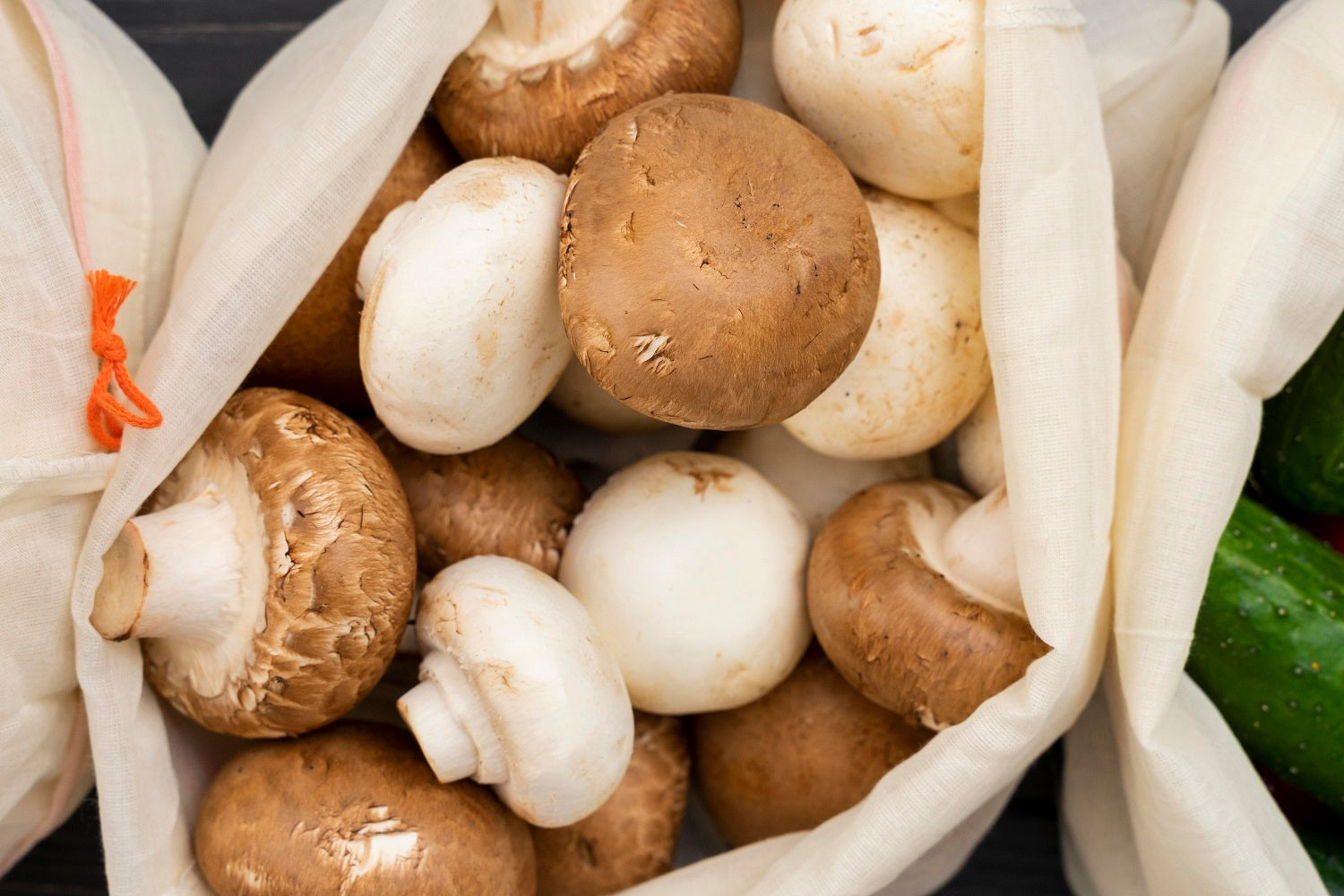 How to Store Mushrooms and Prevent Them From Going Slimy